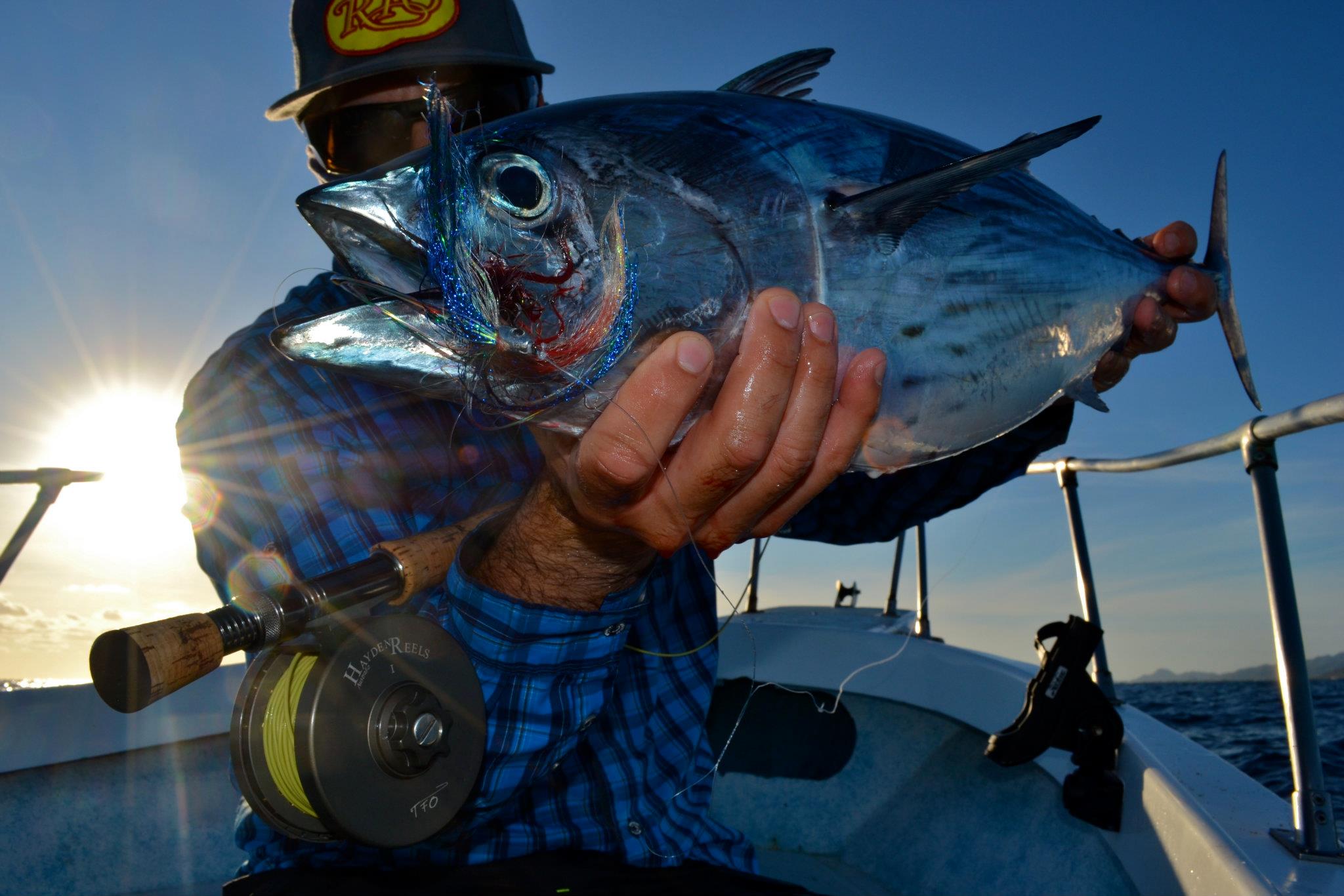 Fly Fishing Eye Candy from Faceless Fly Fishing Media – The Venturing ...