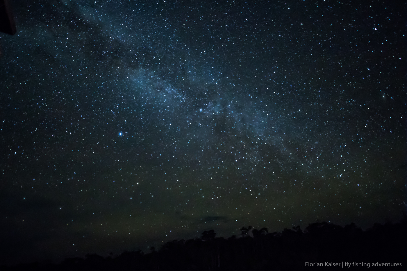 Amazon stars – The Venturing Angler