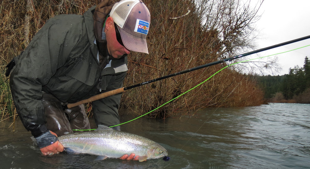 California steelhead – The Venturing Angler